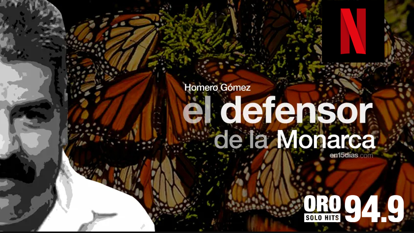Netflix confirma serie de Homero Gómez, el guardián de la mariposa ...